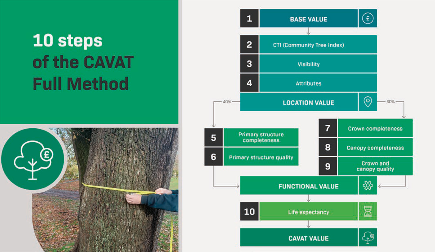 Arboricultural Association - CAVAT Full Method: a lowdown on the refresh